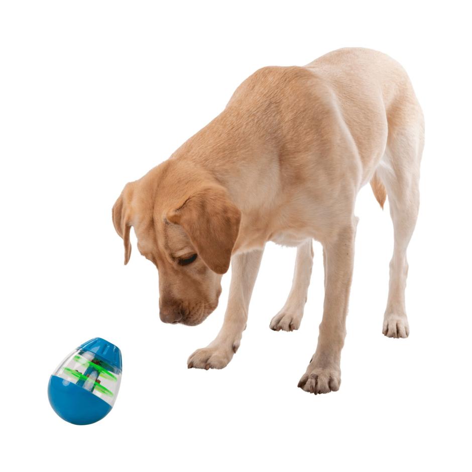 Roly Poly snack egg | Plastic Dog Toy