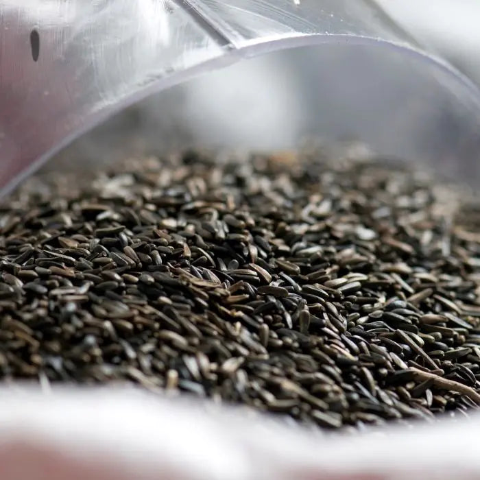 Nyjer Seed 1.25 Kg