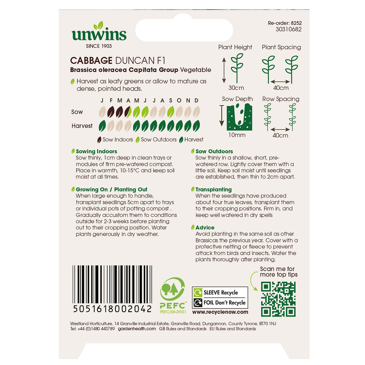 Cabbage Duncan F1 Seeds