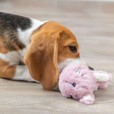 Junior Bunny | 14cm Dog Toy