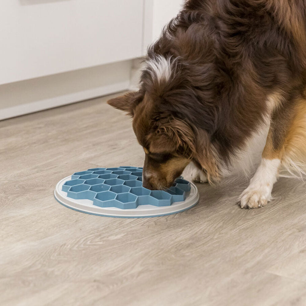 Hive Slow Feeding Mat